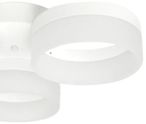 LED Stropní svítidlo RING 3xLED/12W/230V bílé