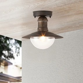 Brilagi - Venkovní stropní svítidlo MOLDE 1xE27/60W IP44 bronzová/patina