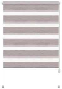 Taupe roleta den a noc 97x150 cm Zebra Silvalin – Gardinia