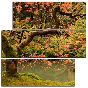 Obraz na plátně - Červený javor podzim - čtverec 3241D (105x105 cm)