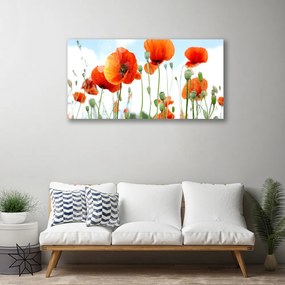 Obraz na plátně Květiny Máky Louka Pole Příroda 140x70 cm