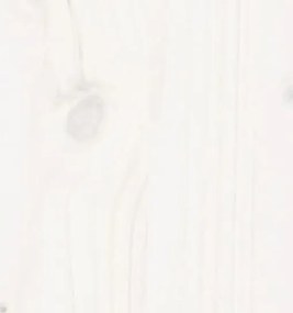 vidaXL Vyvýšený záhon plotový design 200 x 50 x 70 cm masivní borovice [832513] Barva: Černá borovice