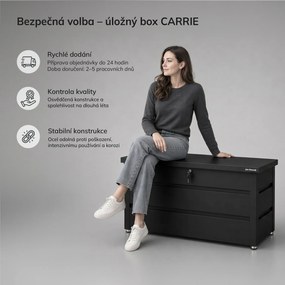 Velký zahradní a balkonový box černý: CARRIE 1190 x 520 x 587 mm