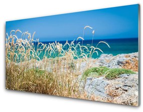 akrylový obraz Pláž Krajina 100x50 cm
