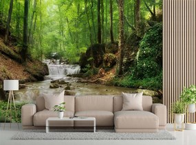 Gario Fototapeta Voda uprostřed lesa Materiál: Vliesová, Rozměry: 200 x 140 cm