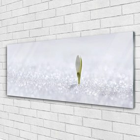 Plexisklo-obraz Sněženka Sníh Zima 125x50 cm