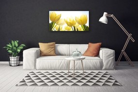 Obraz na plátně Tulipány Květiny Paprsky 125x50 cm