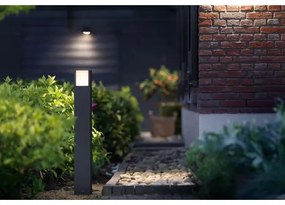 Philips - LED Venkovní lampa ARBOUR LED/3,8W/230V 77 cm IP44