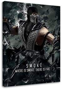 Gario Obraz na plátně Postava ze hry Mortal Kombat Smoke - SyanArt Rozměry: 40 x 60 cm