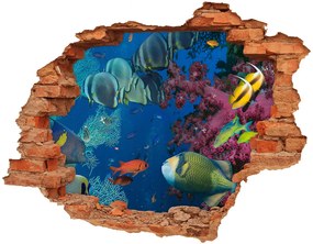 Wallmuralia Díra 3D fototapeta na stěnu Korálový útes 90x70 cm