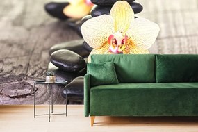 Samolepící fototapeta orchidej a Zen kameny - 225x150 cm