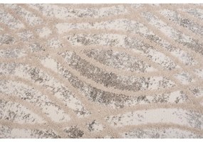 Kusový koberec Roxe béžový 200x300cm