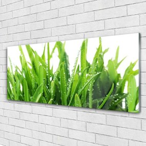 akrylový obraz Tráva Rostlina 125x50 cm