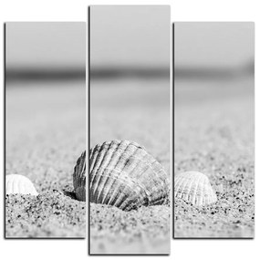 Obraz na plátně - Moře a mušle - čtverec 3126QC (105x105 cm)
