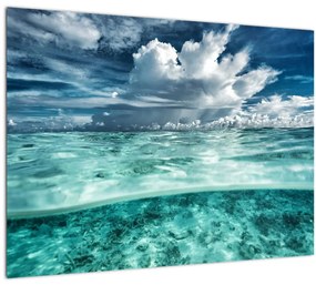 Obraz - Pohled pod mořskou hladinu (70x50 cm)