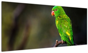 Obraz zeleného papouška (100x40cm)