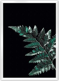 Plakát Dark Fern Leaf