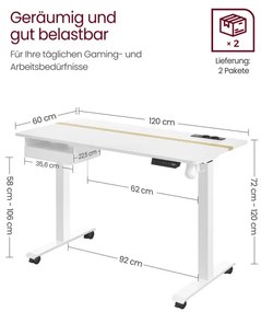 Elektrický kancelářský stůl LSD112W01