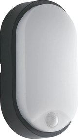 FAN LED-SENSITIVE-ANT Venkovní svítidlo LED SENSITIVE antracit polykarbonát/PP 14 W 1600 lm 4000 K IP54 se senzorem 21,2x11,9x6,05 cm - FANEUROPE
