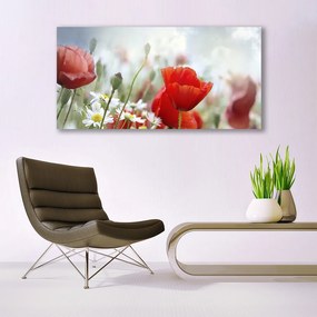 Plexisklo-obraz Květiny Plátky Rostlina 120x60 cm