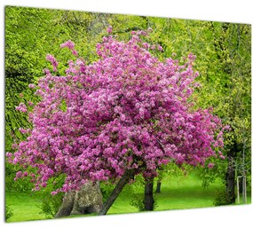 Obraz rozkvetlého stromu na louce (70x50 cm)