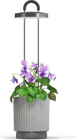 Click and Grow Smart Garden 1 HydroVase by Ermonix chytrý květináč šedý