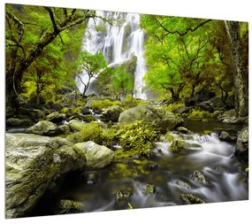 Obraz lesní krajiny s potokem (70x50 cm)