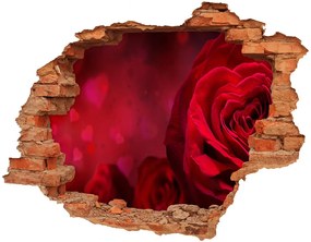 Wallmuralia Samolepící díra Červená růže srdce 90x70 cm