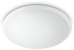 Philips | Philips 31823/31/P5 - LED stropní svítidlo WAWEL 1xLED/36W/230V | P1957