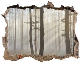 Wallmuralia Nálepka 3D díra samolepící Mlha v lese 95x64 cm