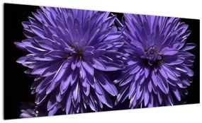 Obraz fialových květů (100x40cm)