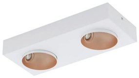 Eglo | Eglo 39374 - LED Stmívatelné stropní svítidlo RONZANO 2xLED/3,3W/230V | EG39374