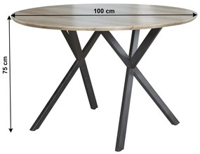 Jídelní stůl Papago (pro 4-6 osob) (dub šedý + černá). 1034324