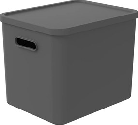 Rotho Úložný box, rovný s víkem, 27l, antracit ALBU LIGHT, 37x29x30