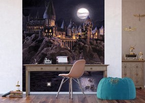 Dětská vliesová fototapeta na zed' Harry Potter | 225 x 270 cm | DFTD3P5177