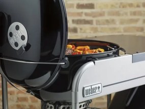 WEBER Performer Deluxe GBS