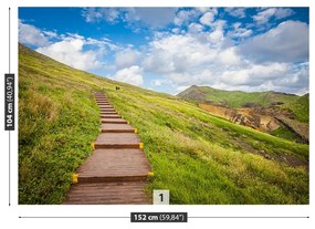 Fototapeta Ostrov Madeira 104x70