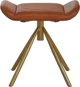 Hnědá kožená podnožka Buffalo – Premier Housewares