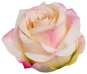 Gasper Umělý květ Růže s klipem, broskvový