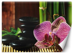 Fototapeta, Orchidej Zenové kameny a bambus - 350x245 cm