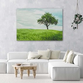 Gario Obraz na plátně Strom v poli Rozměry: 60 x 40 cm