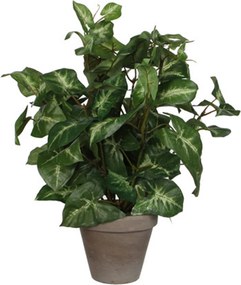 XXXLutz UMĚLÁ ROSTLINA 35 cm - Umělé rostliny - 0045360259