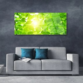 akrylový obraz Listy Příroda Slunce Rostlina 125x50 cm