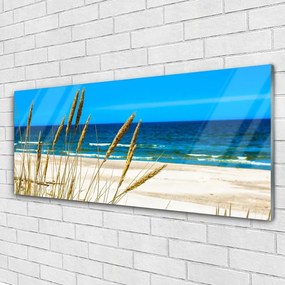 akrylový obraz Oceán Pláž Krajina 125x50 cm