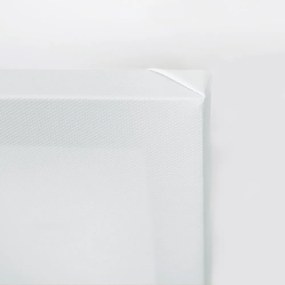 Gario Obraz na plátně Symbol &amp; na bílém pozadí Rozměry: 40 x 60 cm