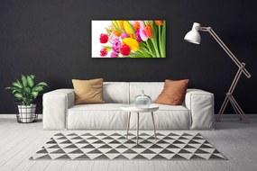 Obraz na plátně Tulipány Květiny Rostlina 140x70 cm