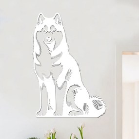 dřevo života Dřevěný obraz psa Husky Zvolte rozměr (cm): 42x60, Zvolte barvu dekoru: Bílá