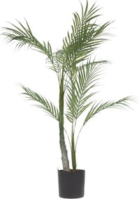 Umělá květina Kave Home Palmera 70 cm