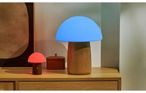 Bílá/v tmavě přírodní barvě LED stolní lampa (výška 12,5 cm) Alice Mushroom – Gingko