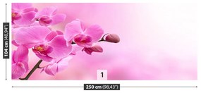 Fototapeta Růžová orchidej 104x70